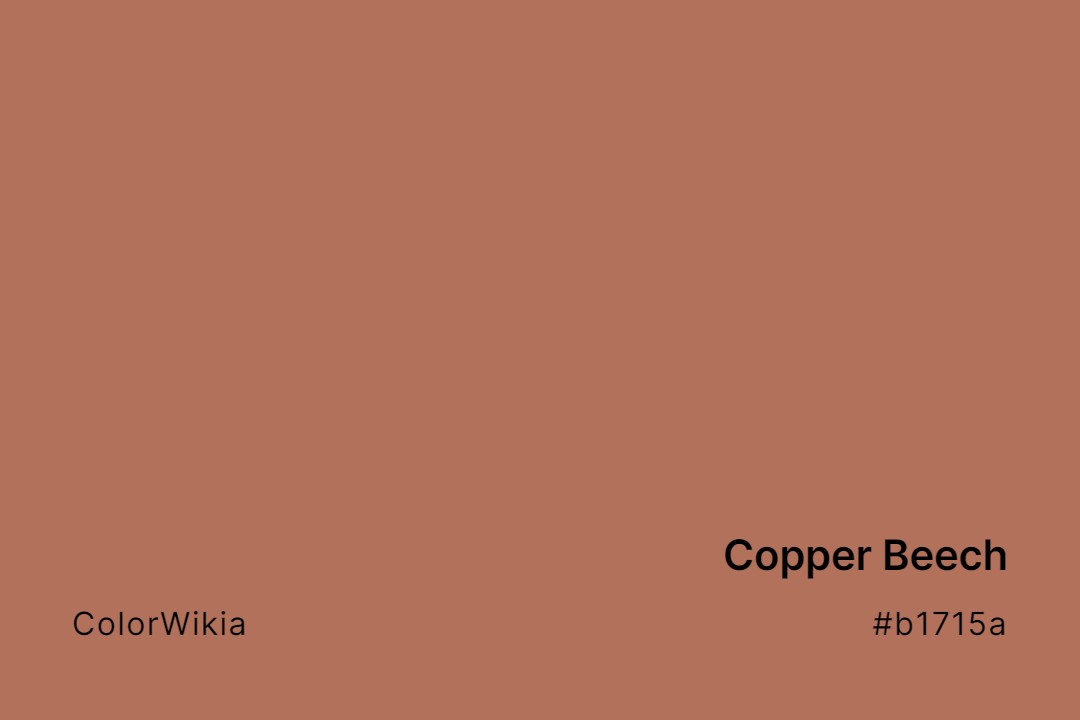 69 Shades of Copper Color