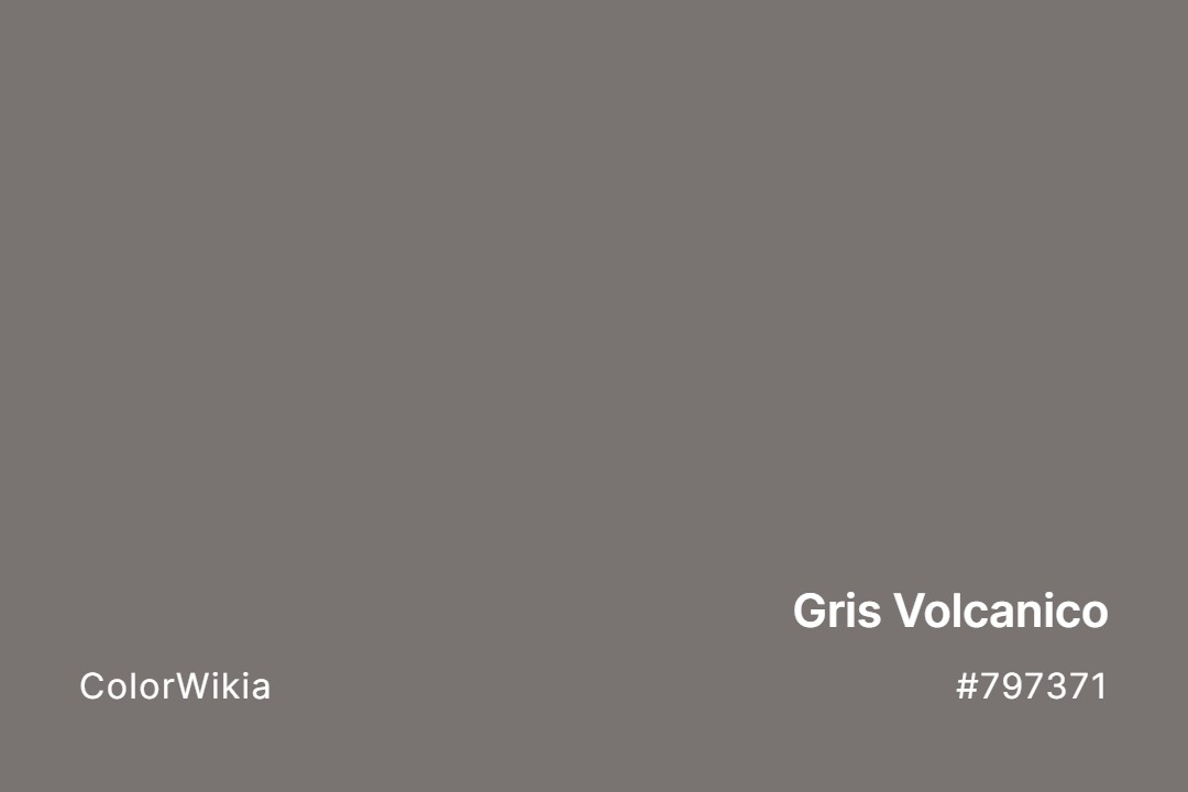 Gris Color - #a5a9a8: Codes and Complete Breakdown