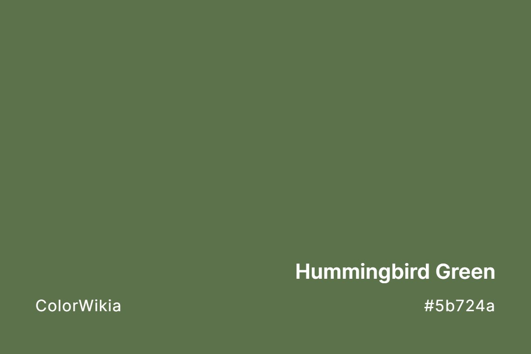 3 Shades of Hummingbird Color