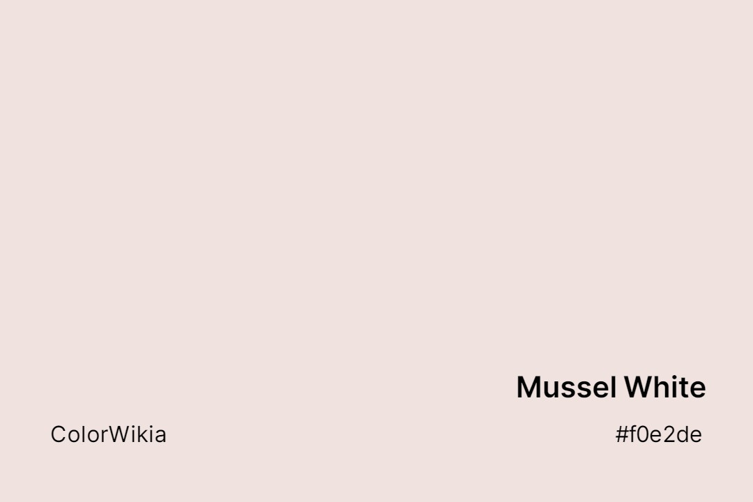 3 Shades of Mussel Color